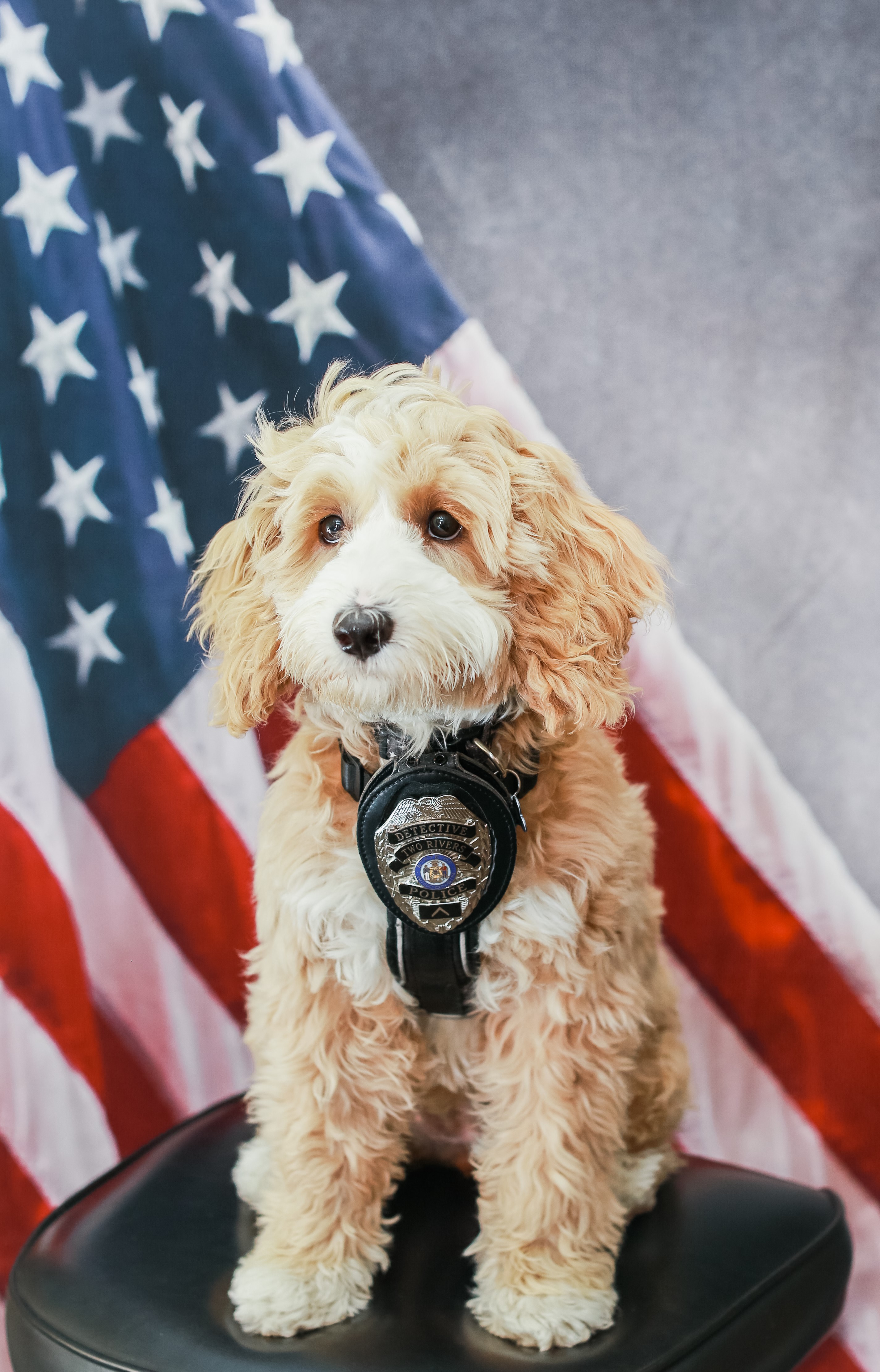 Daisy K9 | Two Rivers Wisconsin
